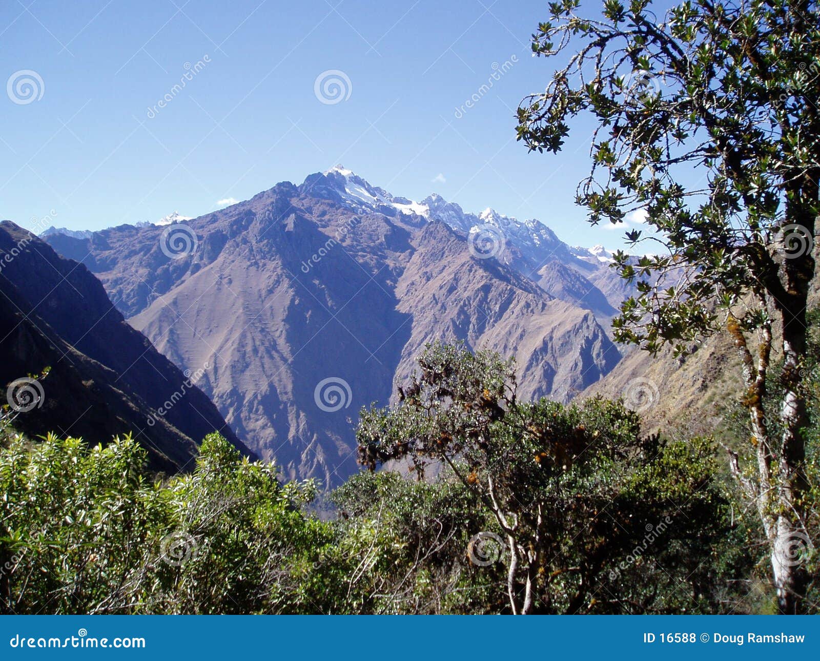 Andes on the Inca Trail stock photo. Image of peru, walking - 16588