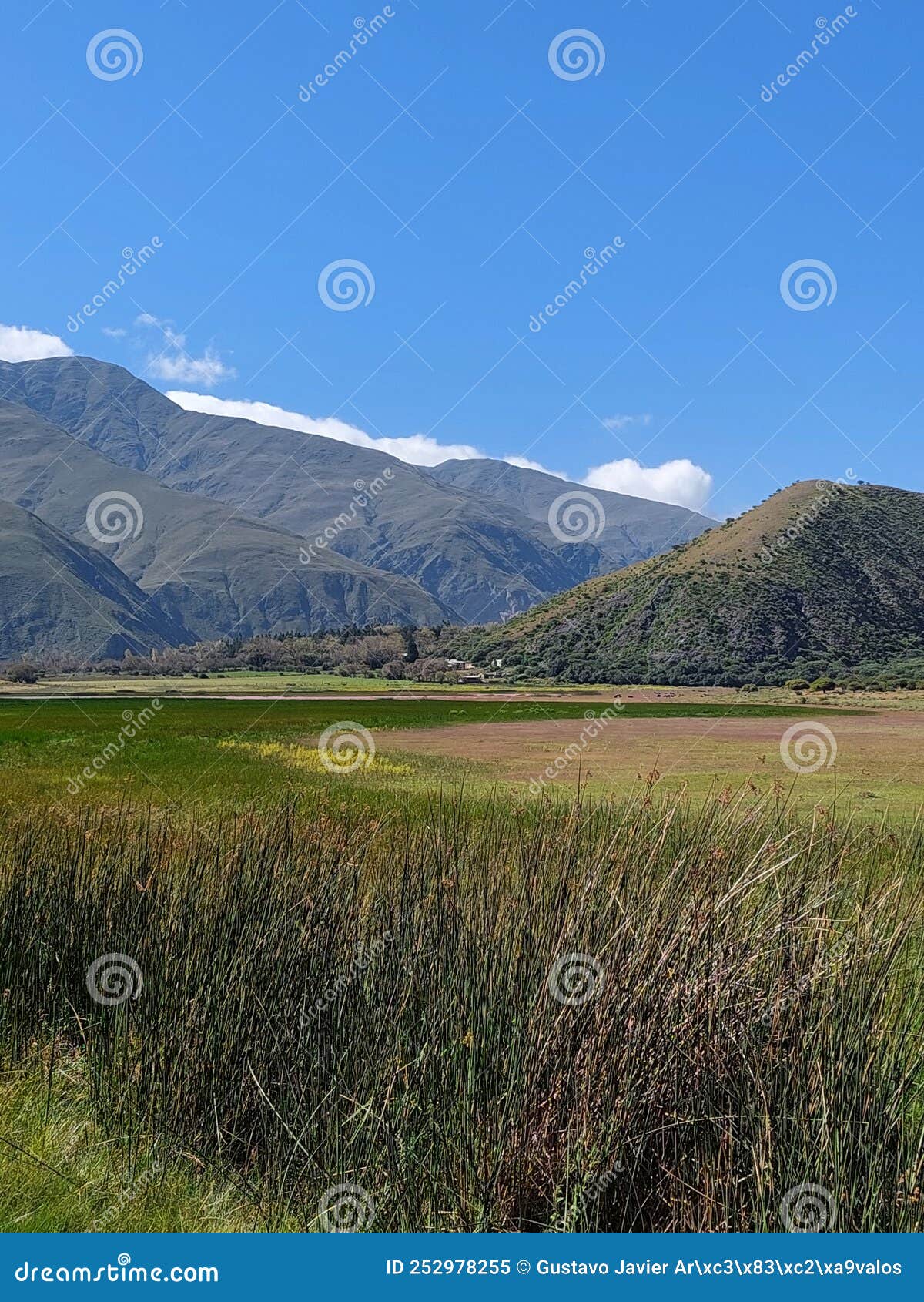 Andes Mountain in Landscape Stock Image - Image of mountain, grass ...