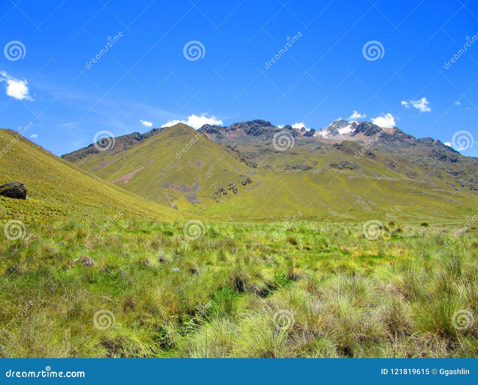 Amazon River, Country Side of Peru. Stock Image - Image of cliffs ...