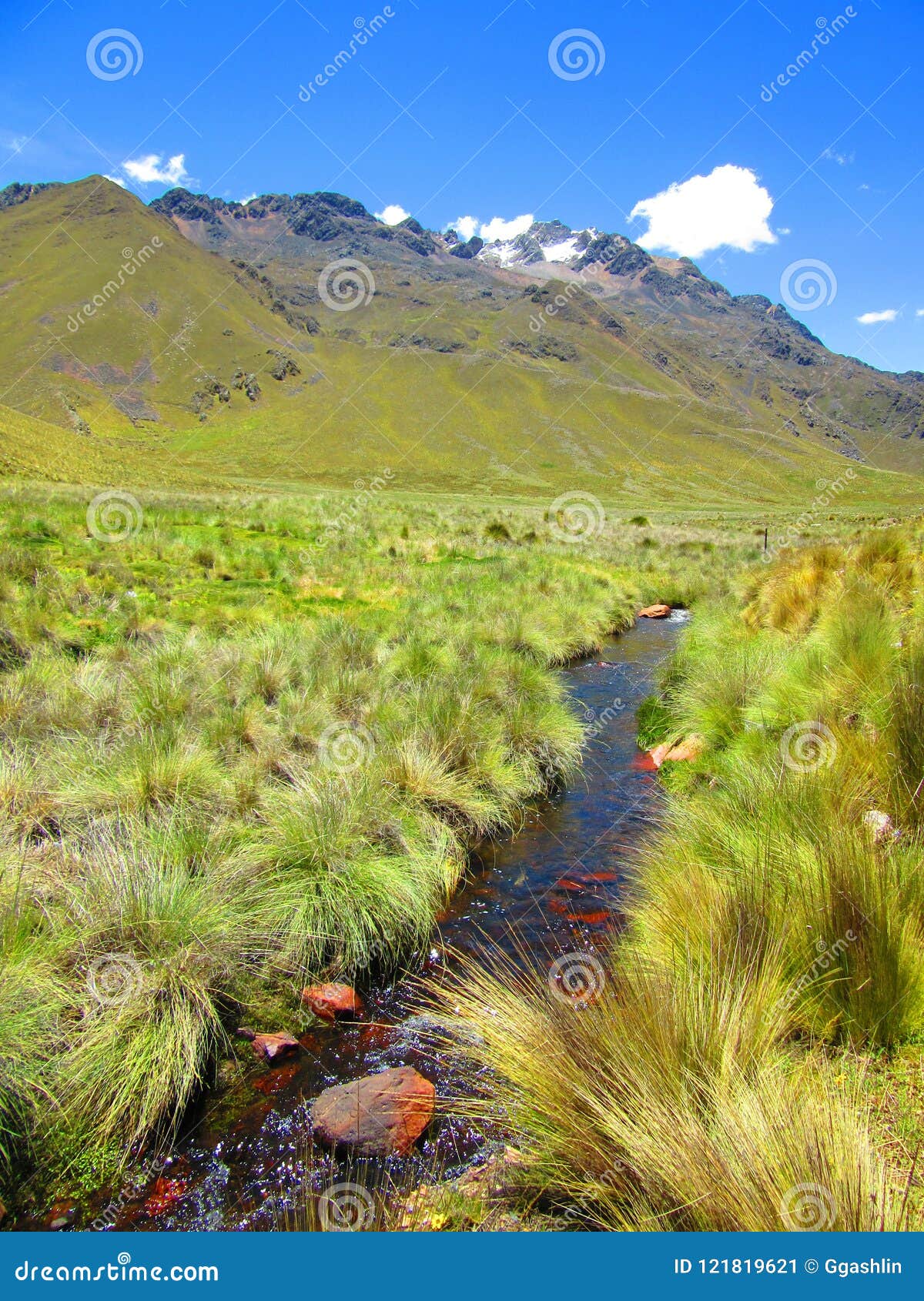 Amazon River, Country Side of Peru. Stock Image - Image of 14000 ...