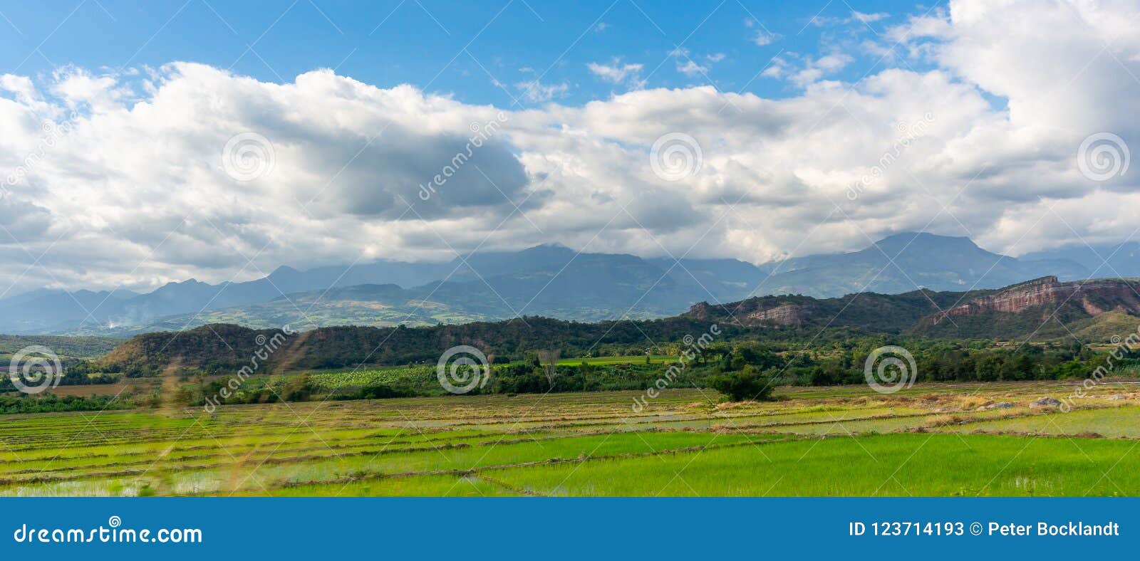 Peruvian Landscapes Rice Paddy in the Foreground Stock Image - Image of ...