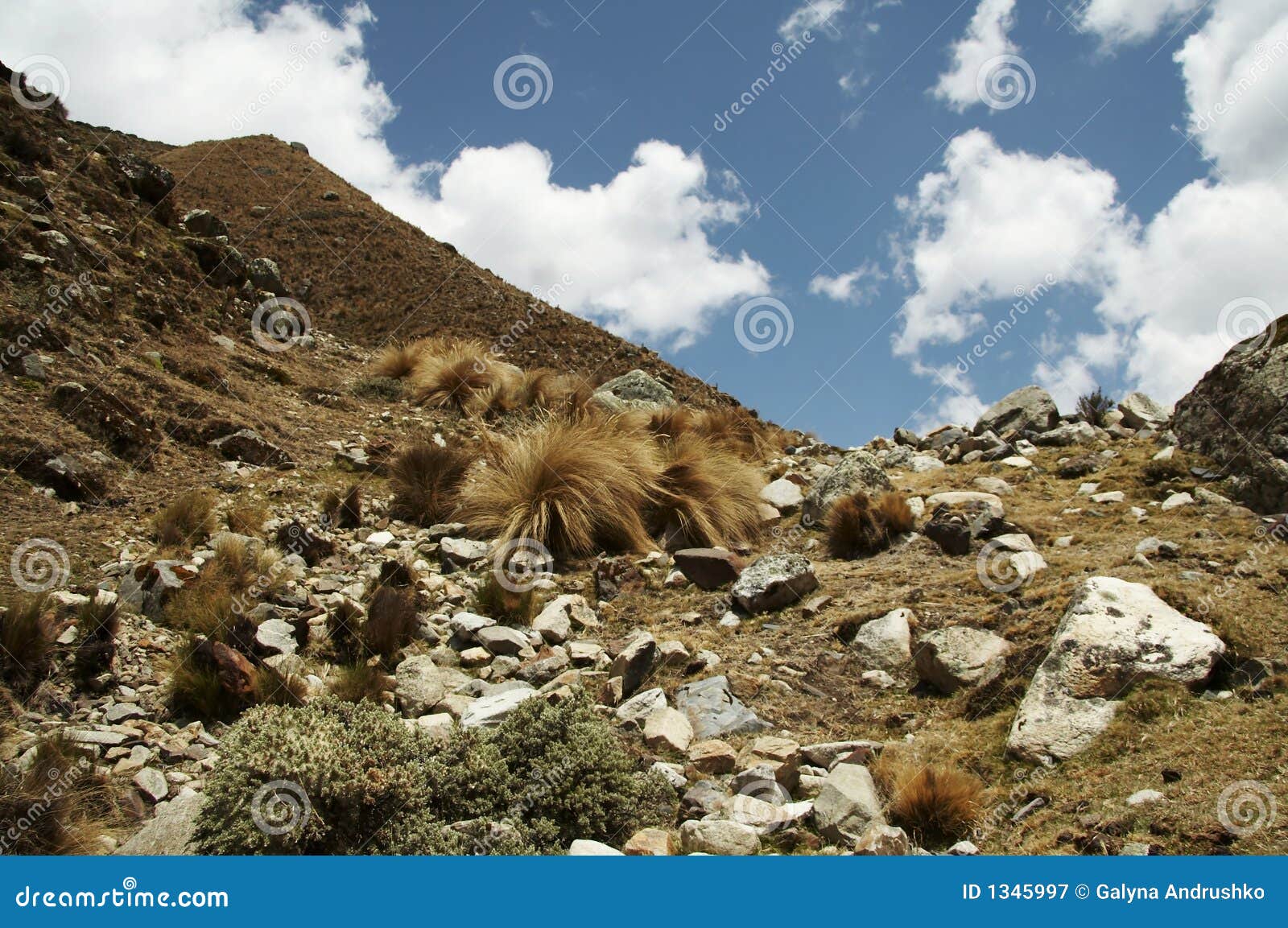 Andes in the Peru stock image. Image of holiday, success - 1345997