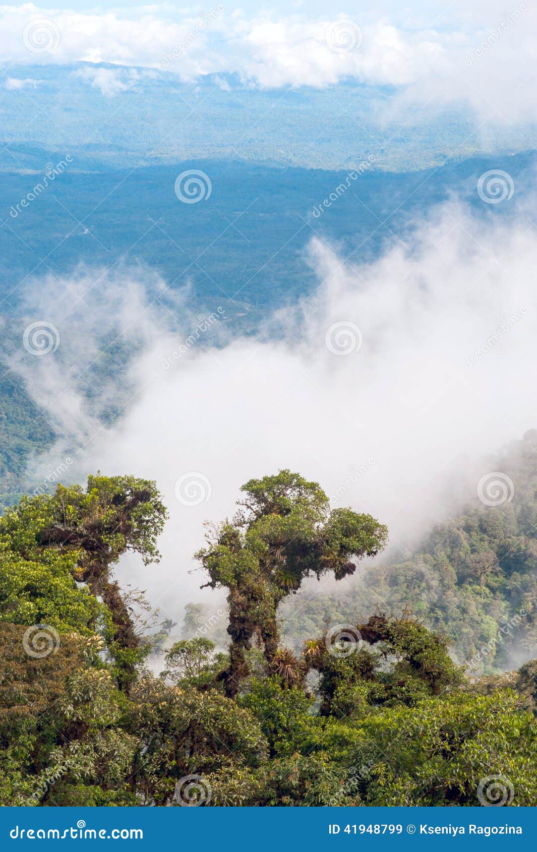 From Andes To Amazon, Ecuador Stock Image - Image of andes, outdoors ...