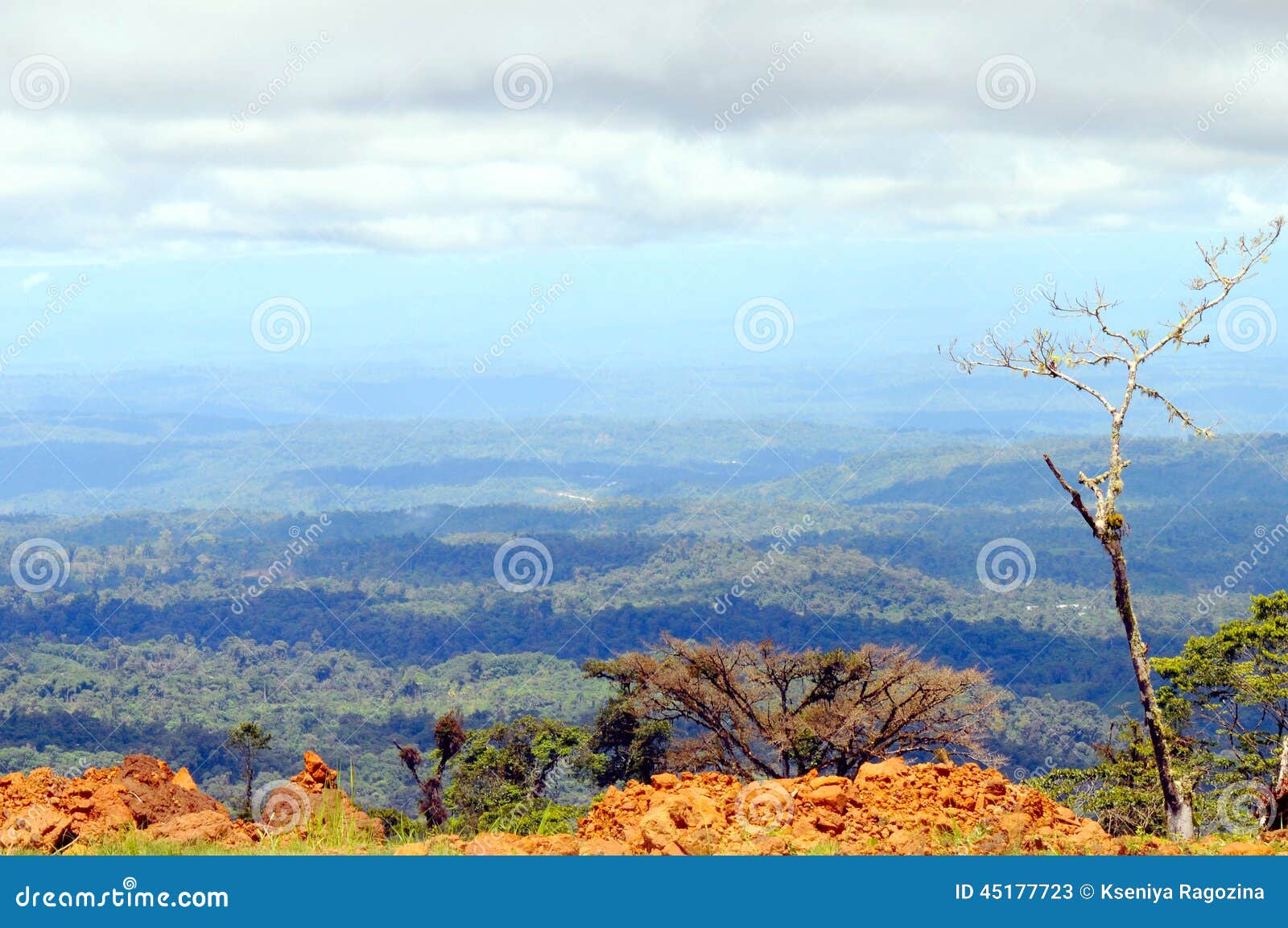 From Andes To Amazon, Ecuador Stock Image - Image of andes, reserve ...