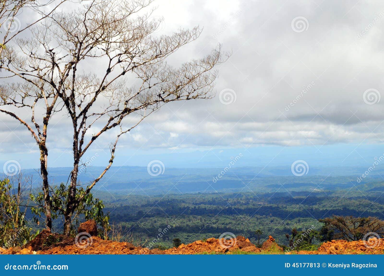 From Andes To Amazon, Ecuador Stock Image - Image of rainforest ...