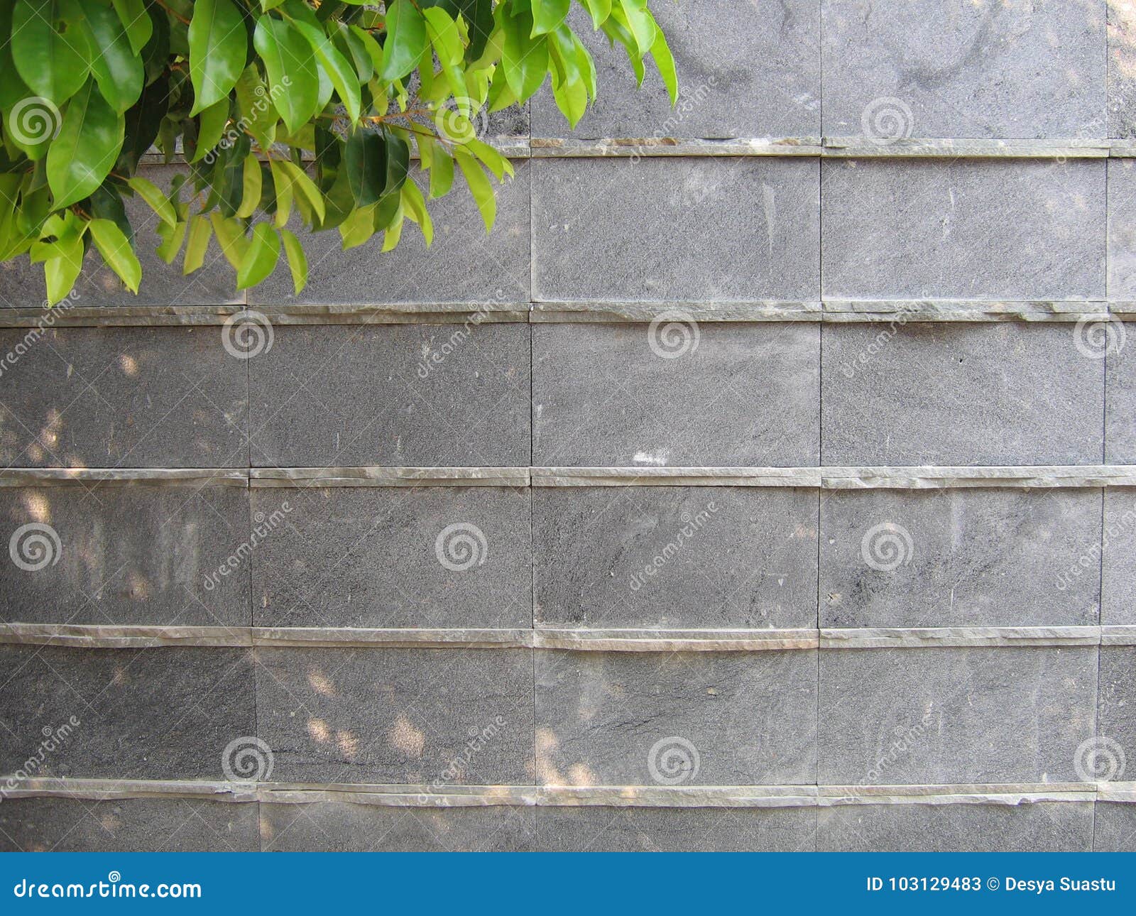 4 Andesit Black Stone Horizontal Texture Royalty-Free Stock Image ...