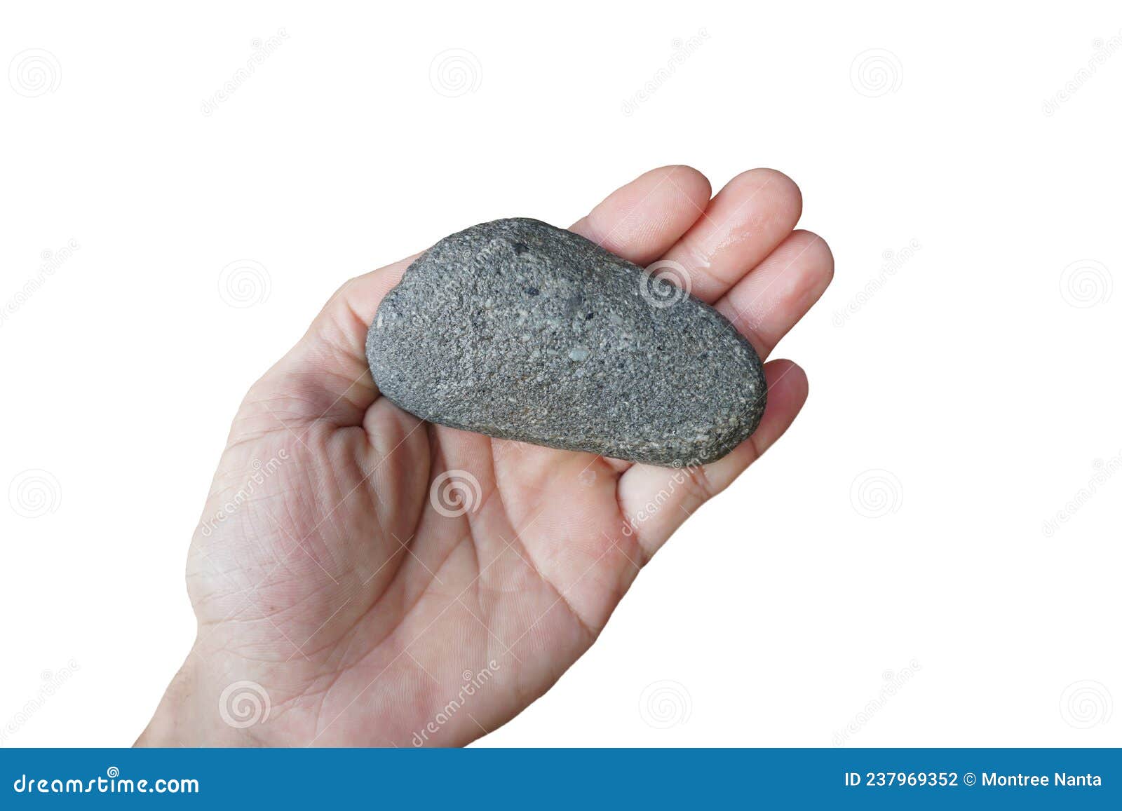 Andesite Extrusive Volcanic Rock in a Hand, Isolated on White ...