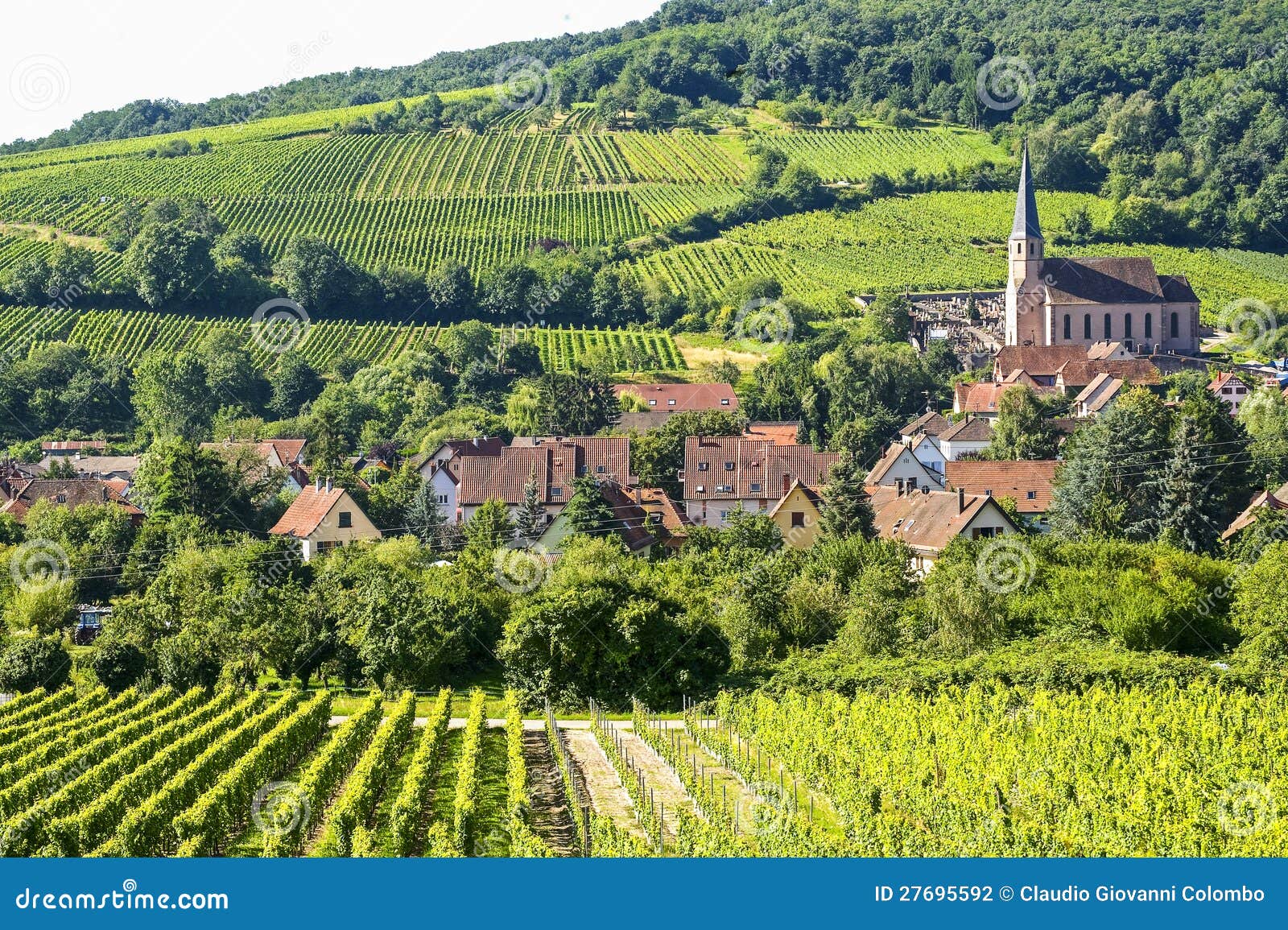 Andlau (Alsace) - Vineyards Stock Photo - Image of countryside, natural ...