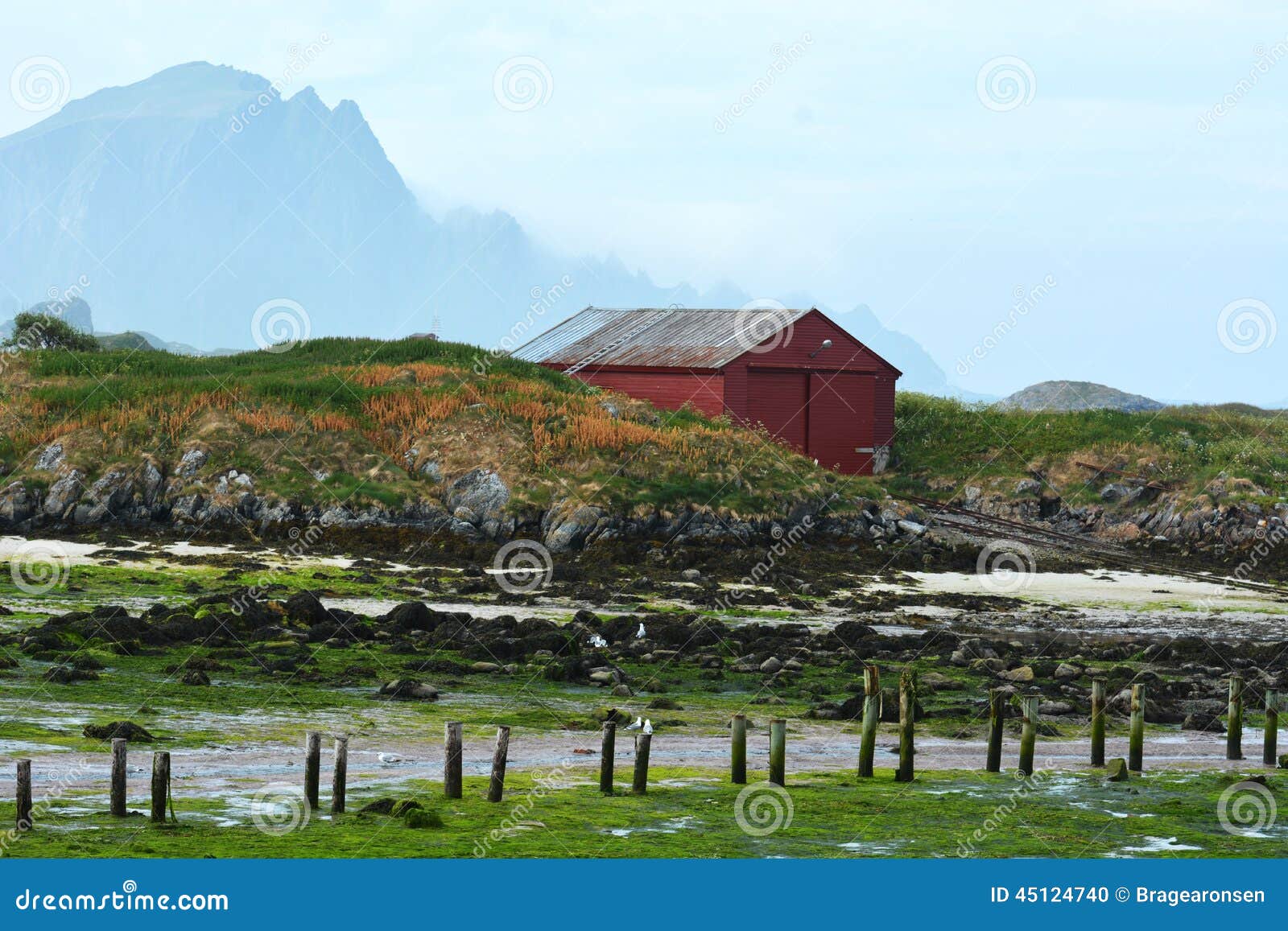Andoya, Noruega imagen editorial. Imagen de costero, faro - 45124740