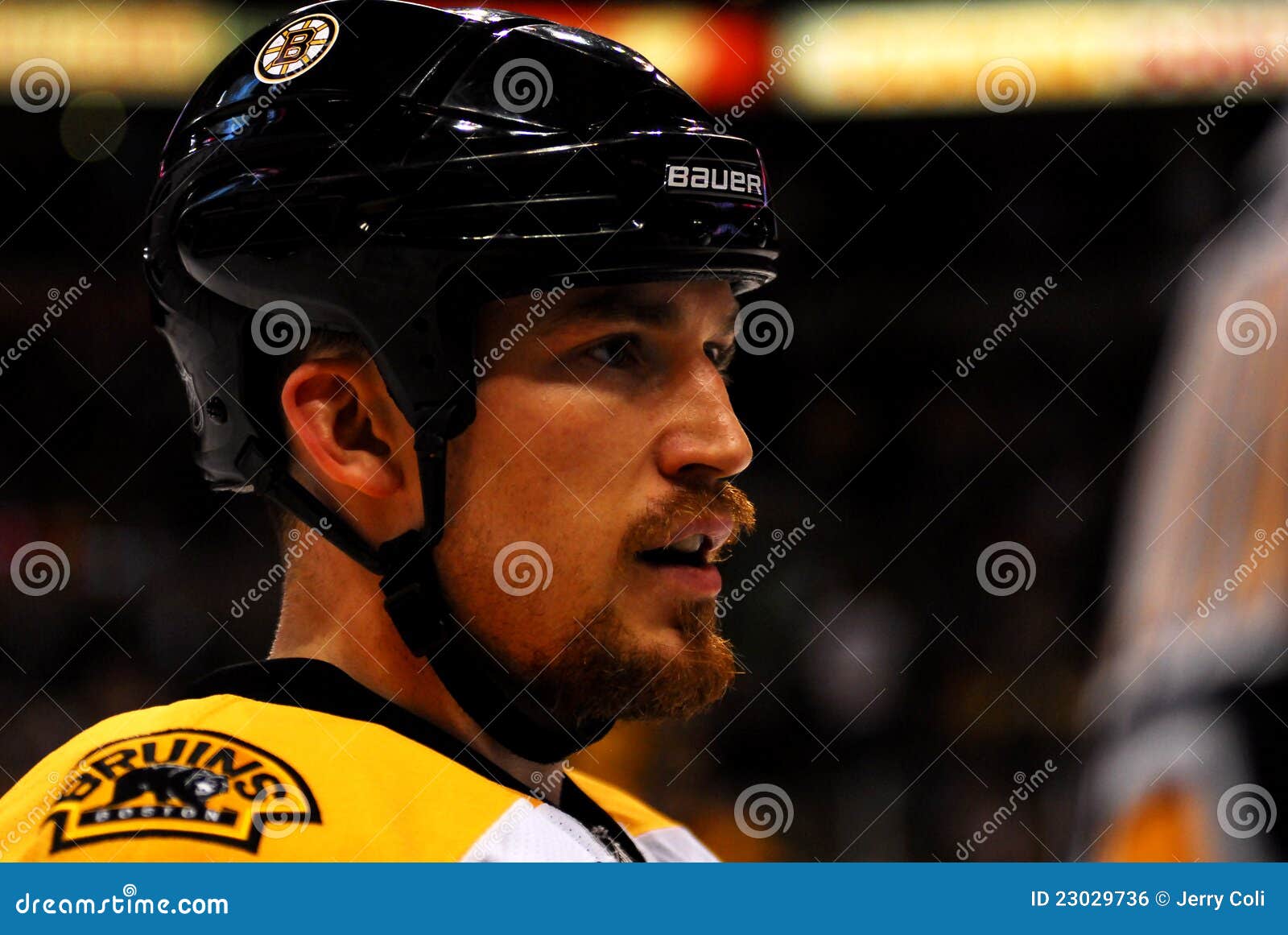 Andrew Ference Boston Bruins Editorial Photo - Image of bruins ...