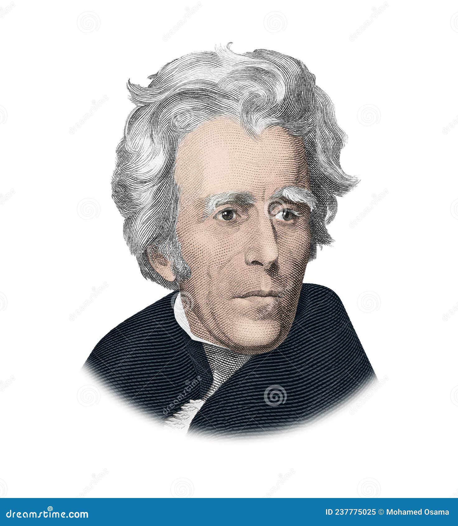 US President Andrew Jackson Stock Illustration - Illustration of ...