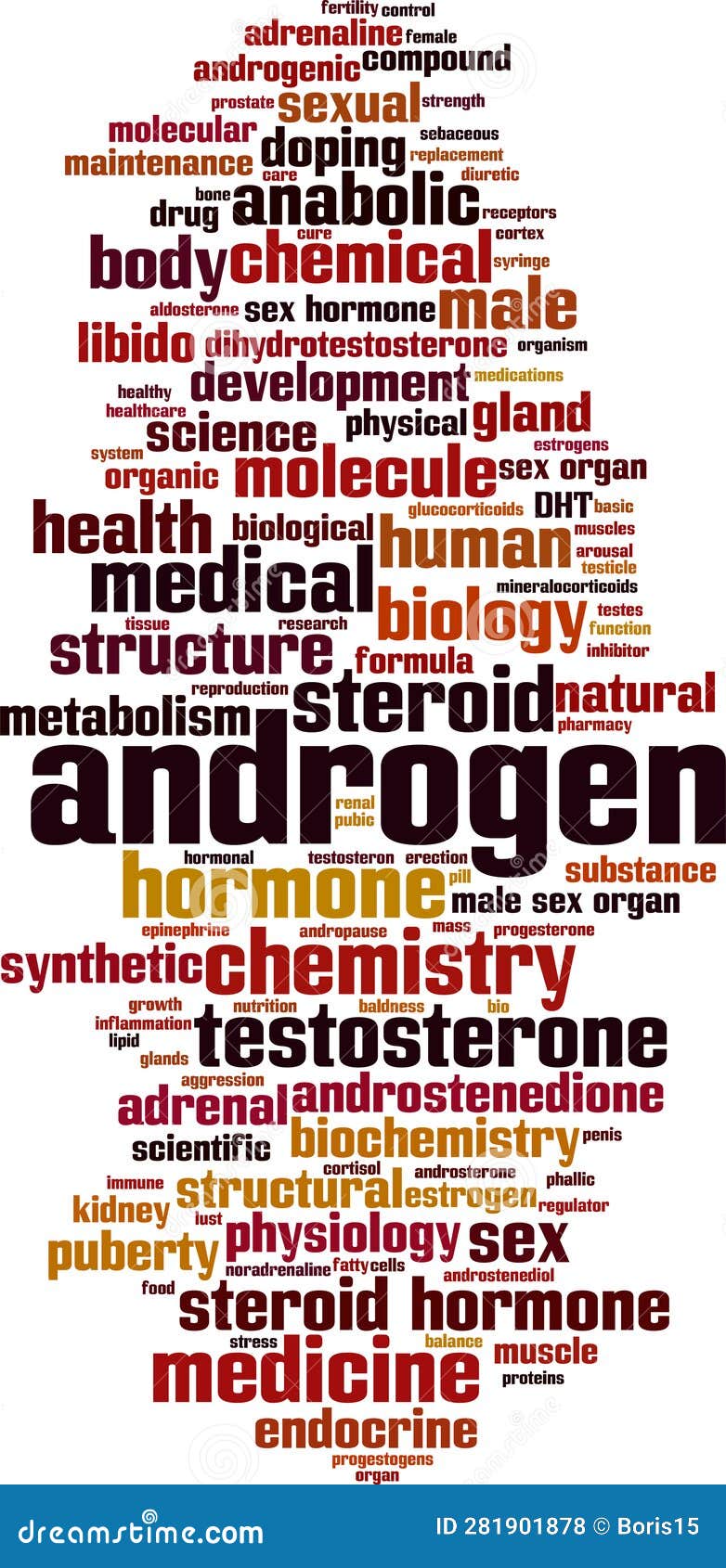 Androgen Word Cloud Stock Vector Illustration Of Hormone 281901878