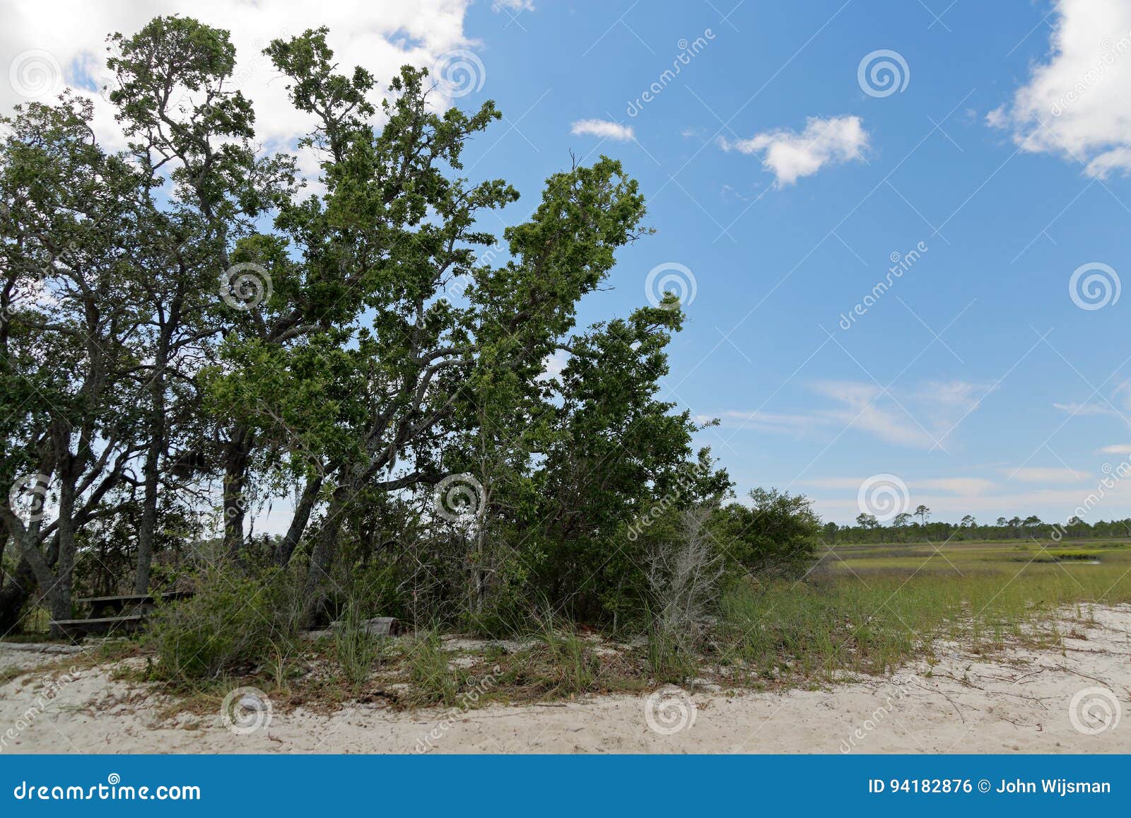 Andy Path Going Past Trees and a Picnic Table Stock Photo - Image of ...