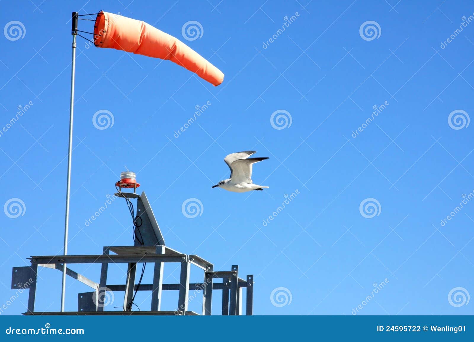 Anemometer and bird stock photo. Image of flag, equipment - 24595722