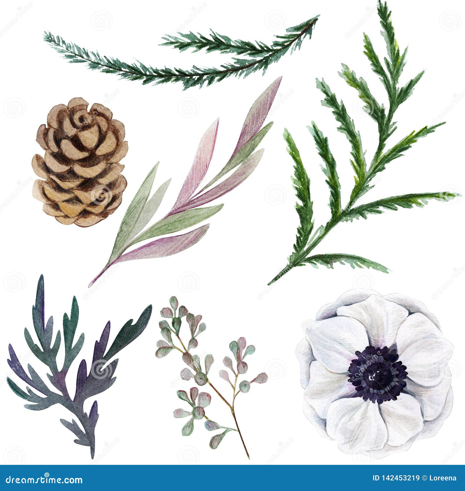 Hand Drawn Watercolor Objects, Isolated Illustrations. Stock Image ...