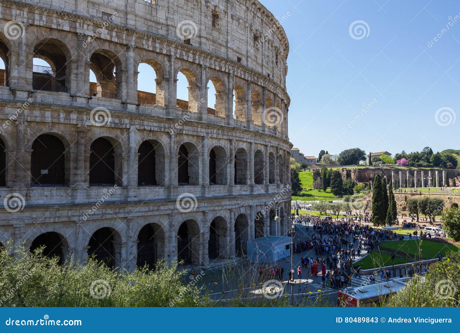 Anfiteatro Flavio Rome editorial stock photo. Image of forum - 80489843
