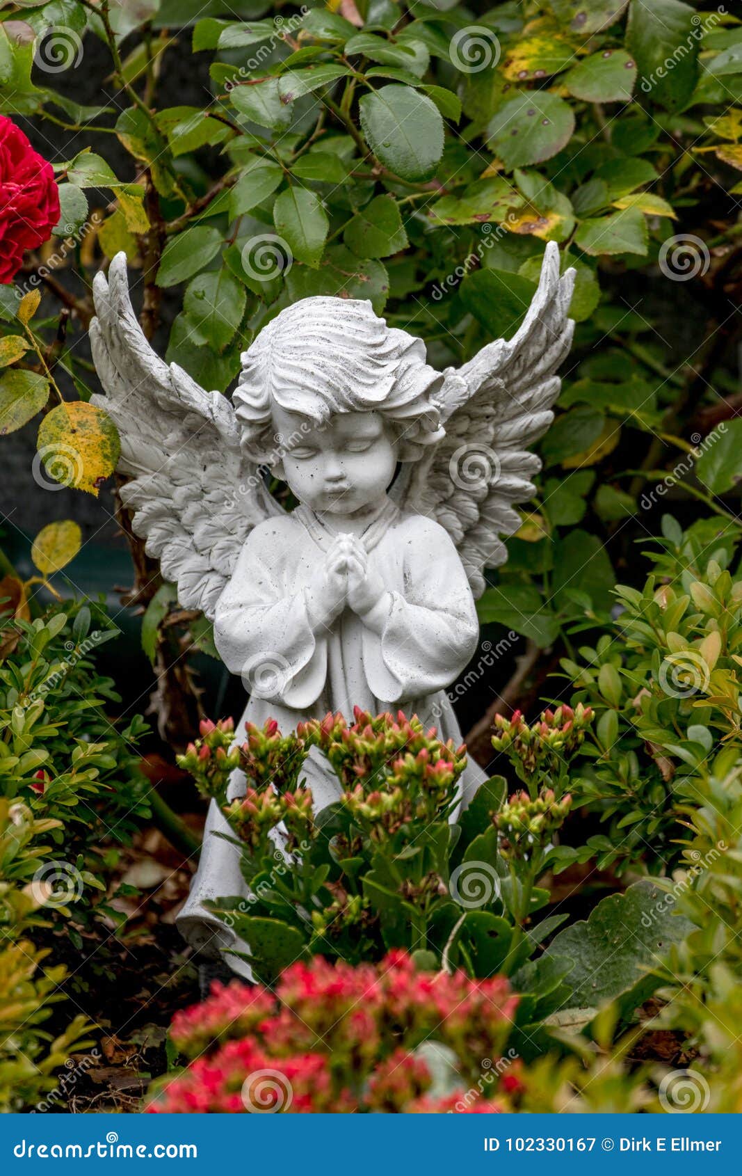 Angel stock image. Image of thinking, contemplate, suppose - 102330167