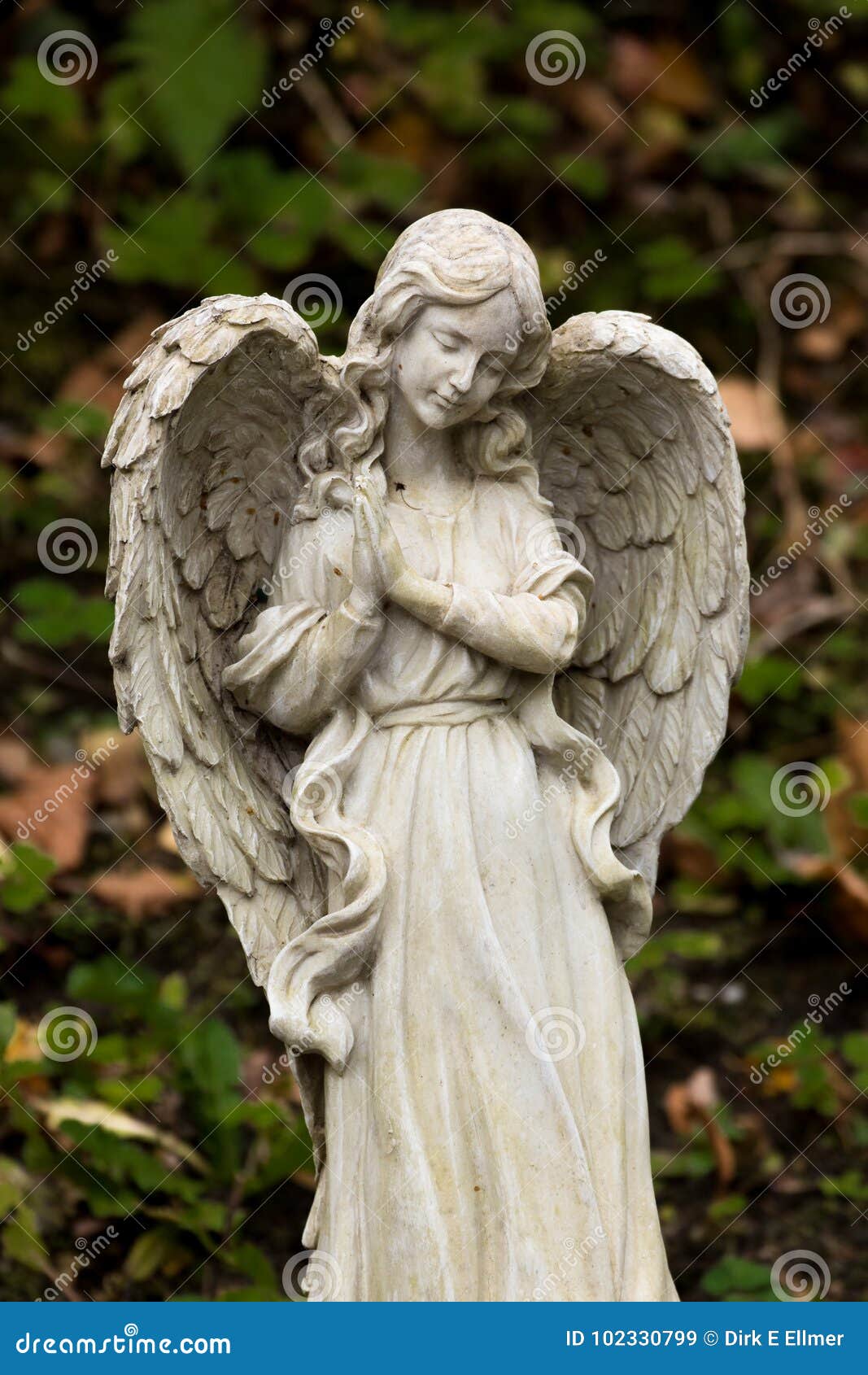 Angel stock image. Image of praying, angel, pick, thinking - 102330799