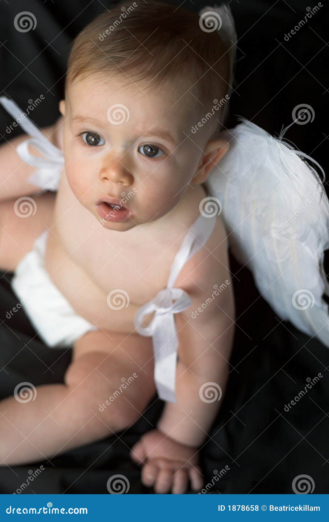 Angel Baby stock photo. Image of face, gorgeous, perfect - 1878658