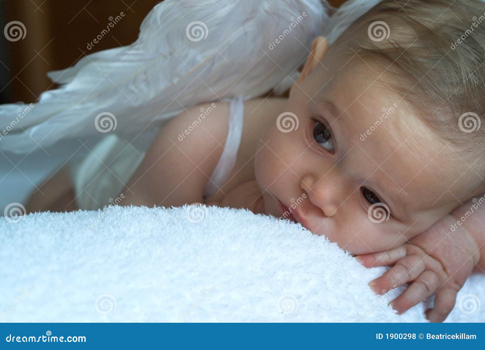 Angel Baby stock photo. Image of infant, natural, white - 1900298