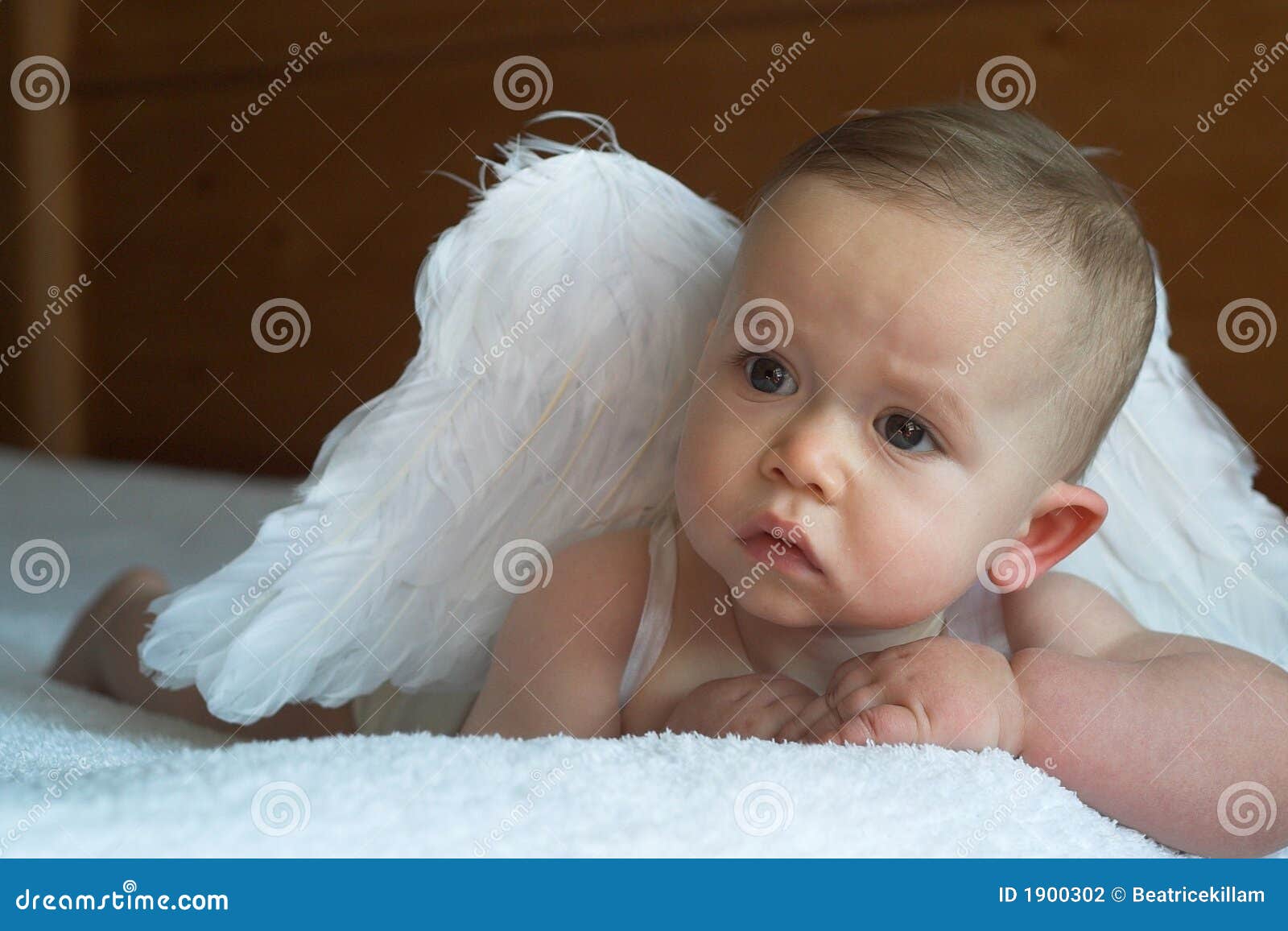 Angel Baby stock photo. Image of small, adorable, child - 1900302