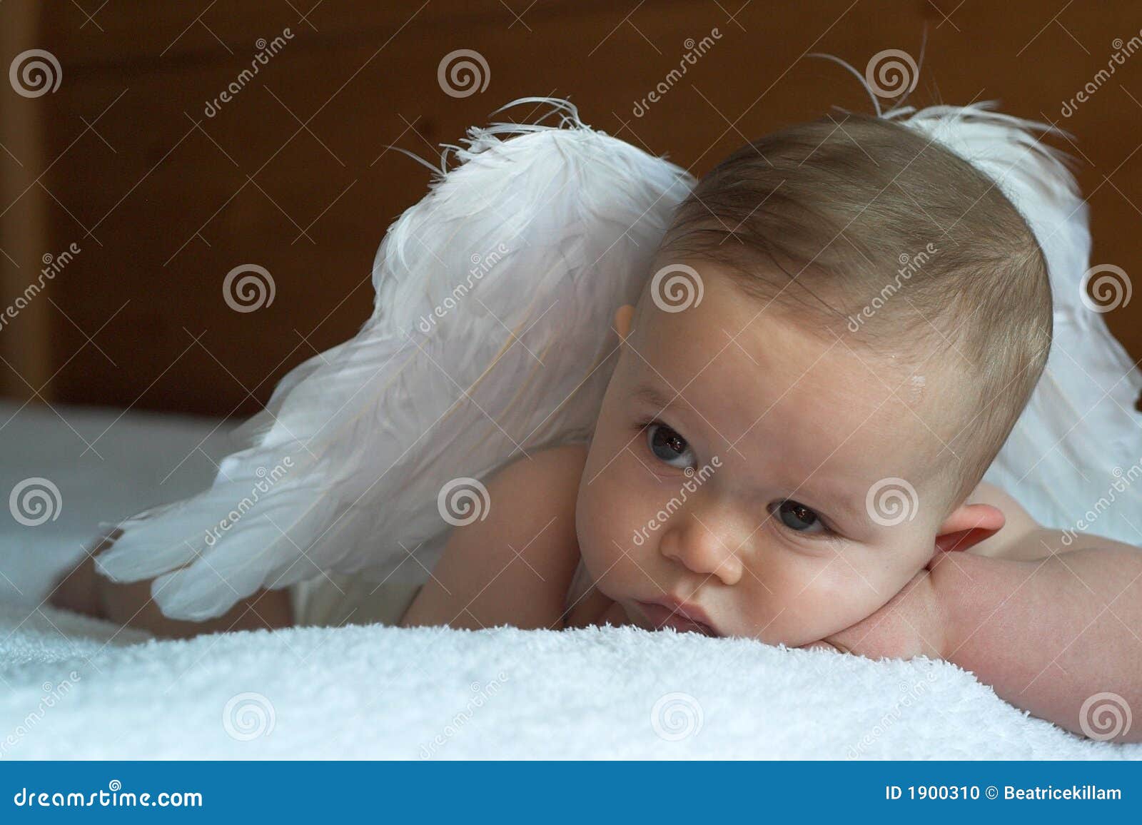 Angel Baby stock photo. Image of angelic, wings, angel - 1900310