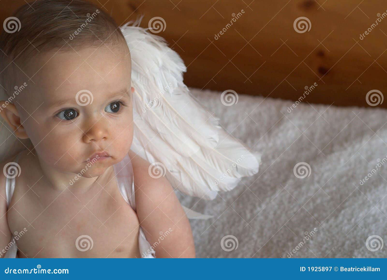 Angel Baby Picture. Image: 1925897