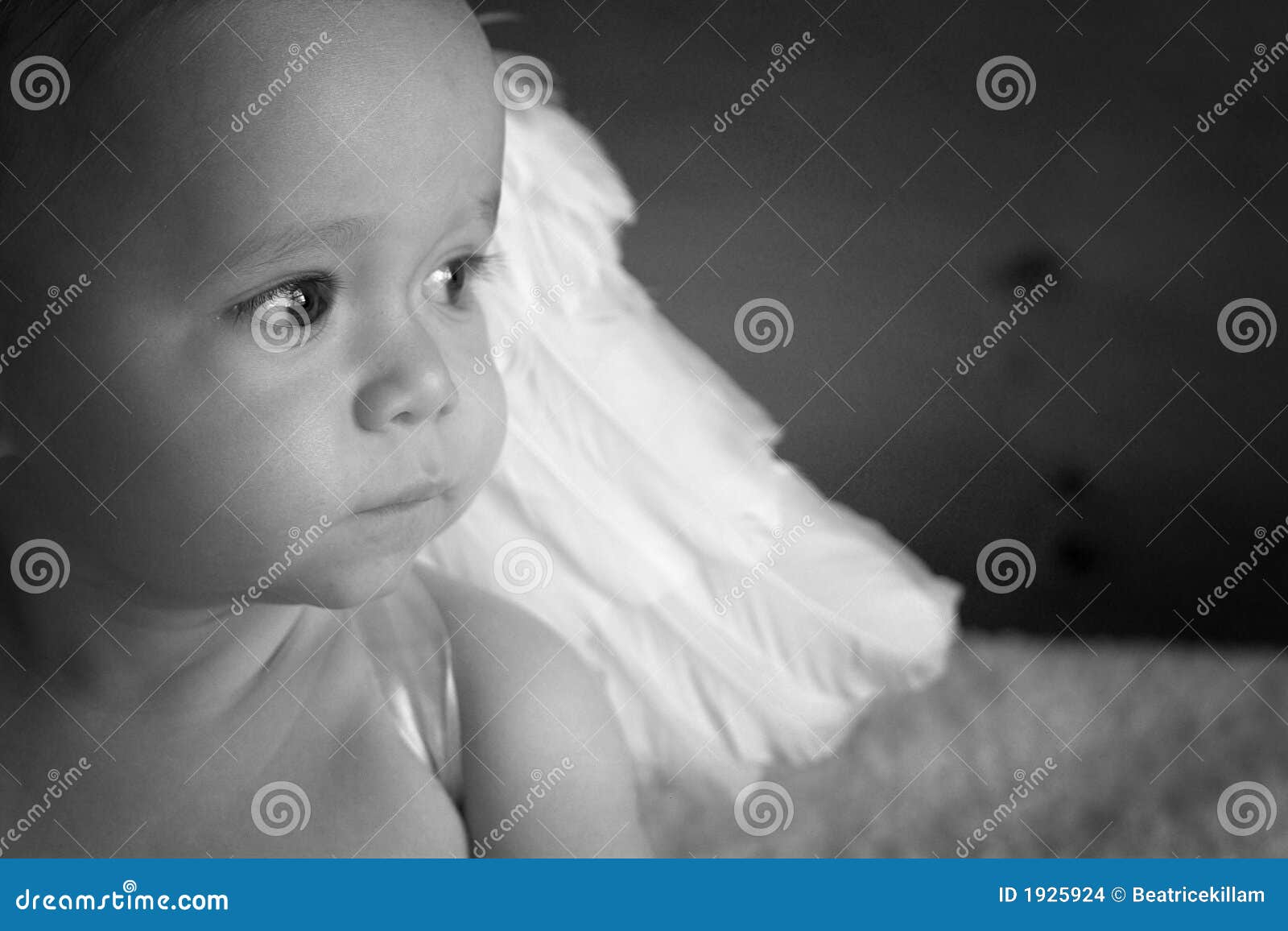 Angel Baby stock photo. Image of beautiful, child, angel - 1925924
