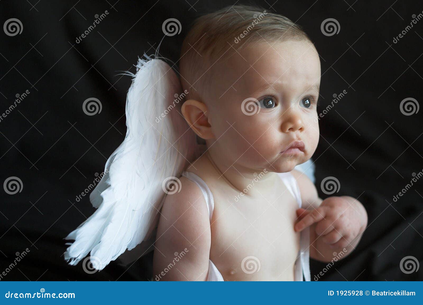 Angel Baby stock photo. Image of innocence, heavenly, infant - 1925928