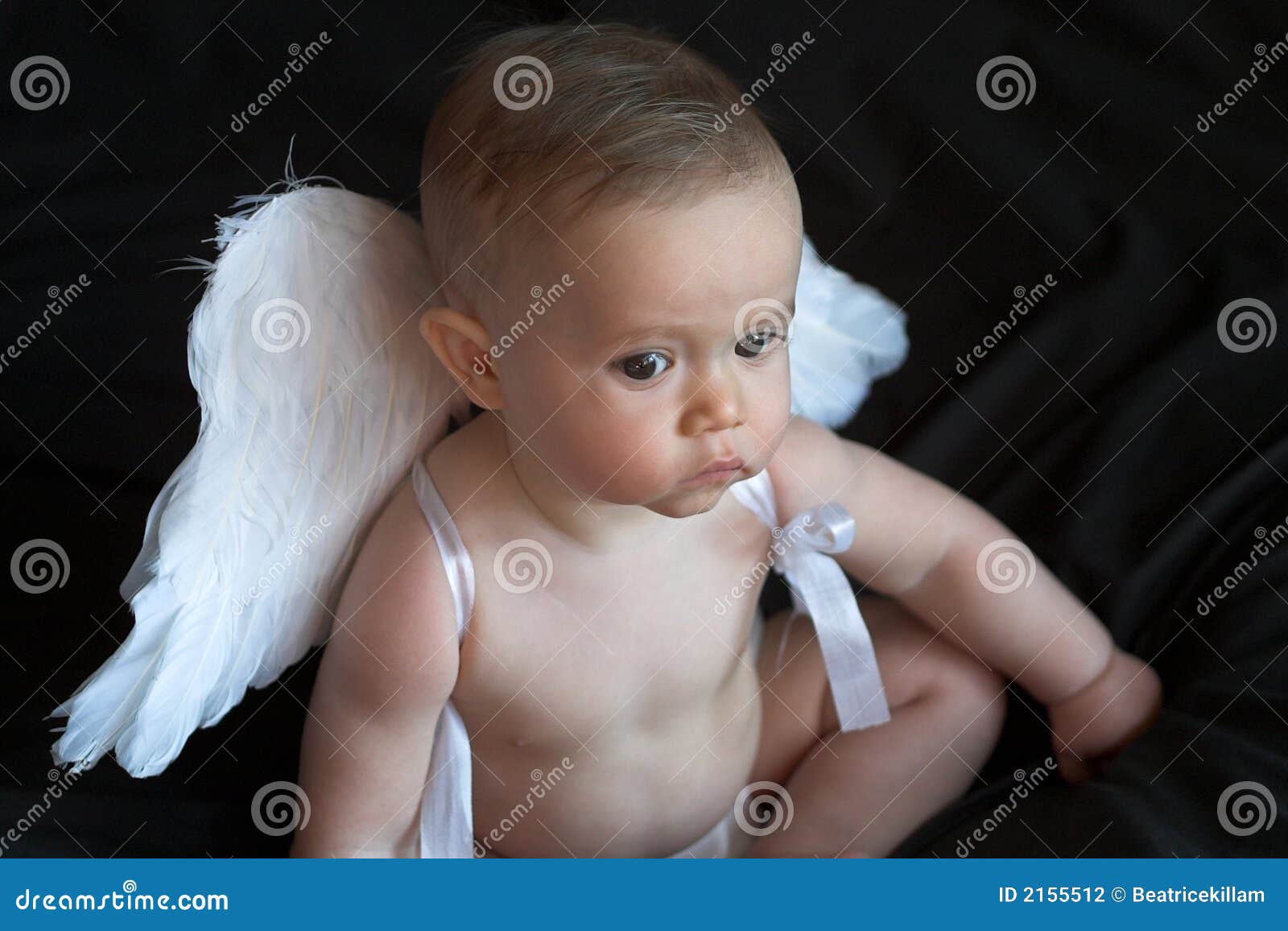 Angel Baby stock photo. Image of cupid, cherubic, baby - 2155512