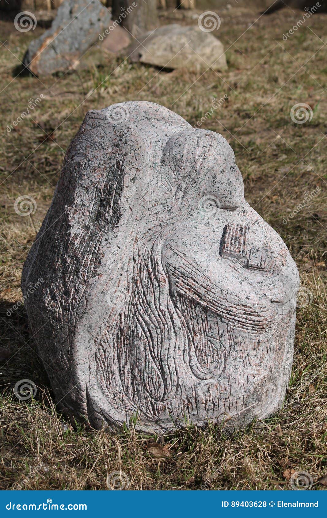 Angel Grass Or Murdannia Loriformis Branch Green Leaves On Nature ...