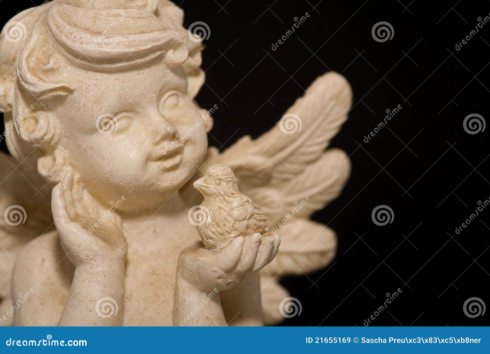 Angel with bird stock image. Image of beauty, symbol - 21655169