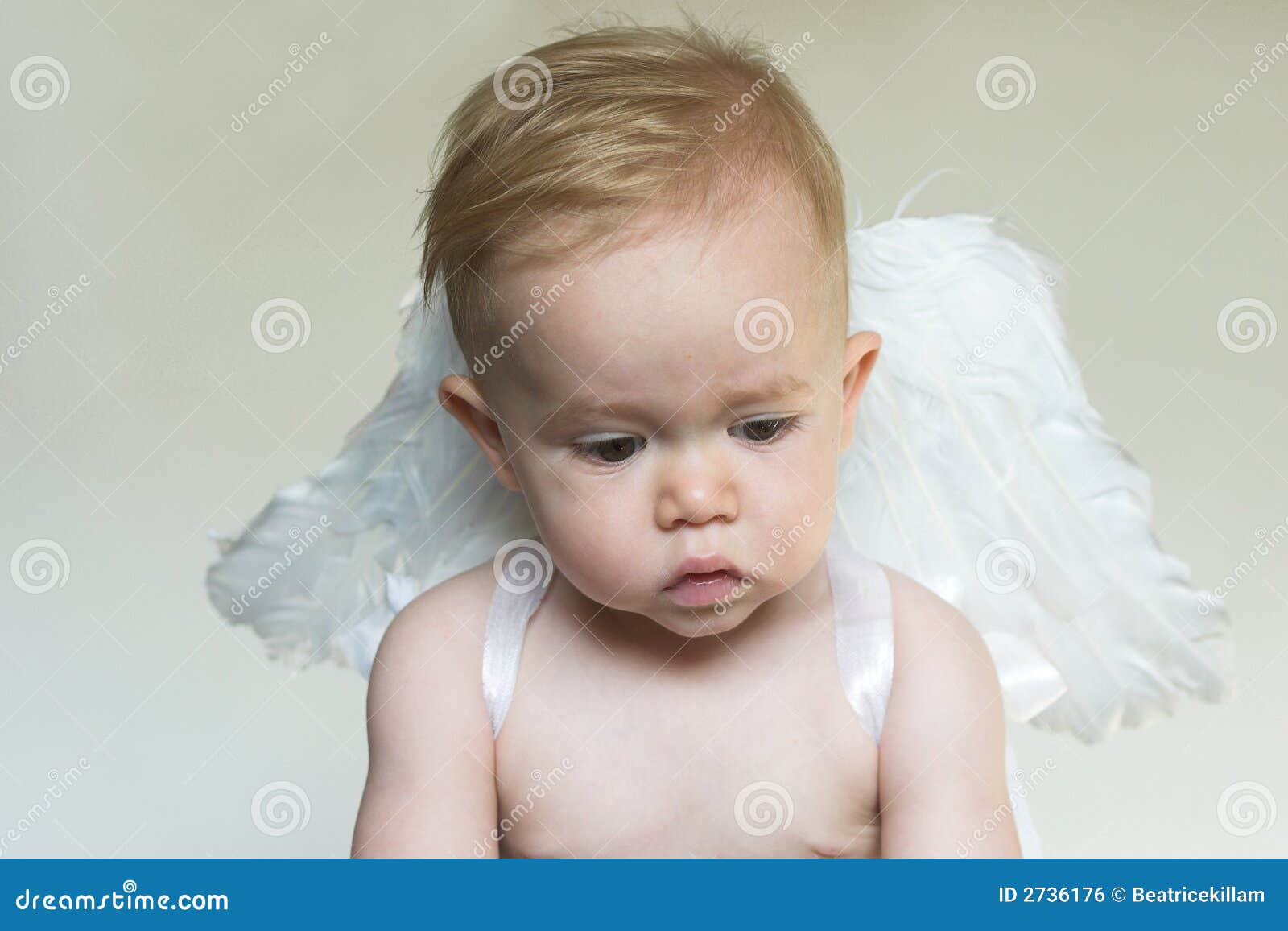 Angel Boy stock photo. Image of look, child, gazing, feather - 2736176