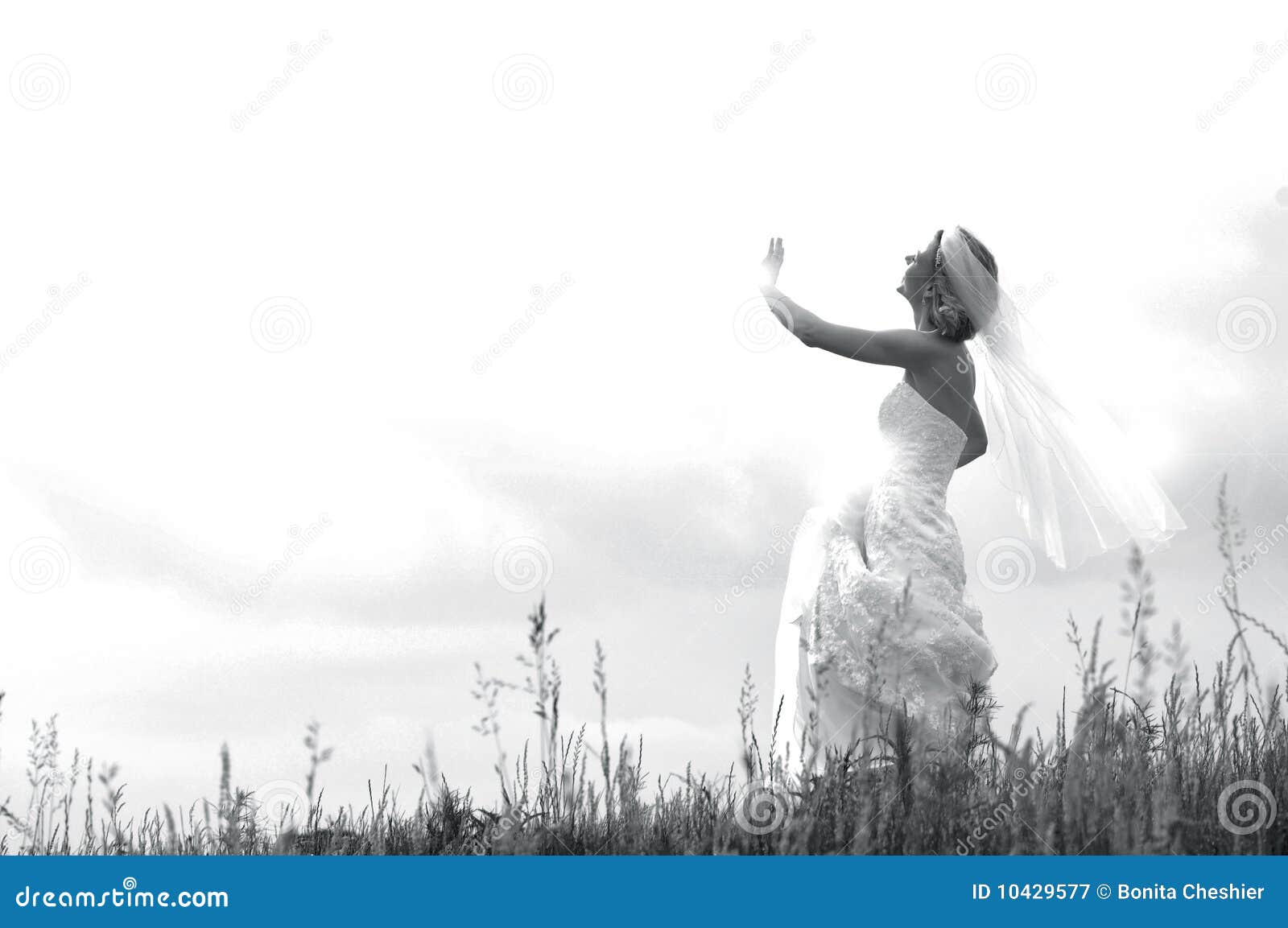Angel Bride from Heaven stock image. Image of embracing - 10429577
