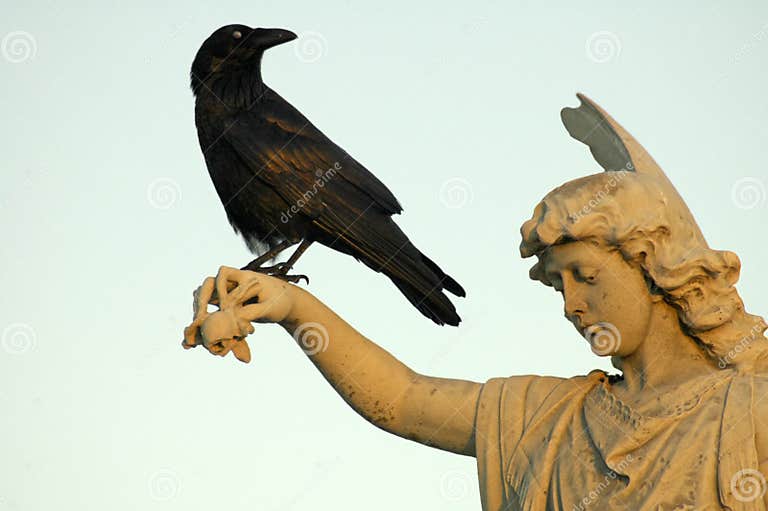 Angel and crow stock image. Image of christian, tombstone - 4164765