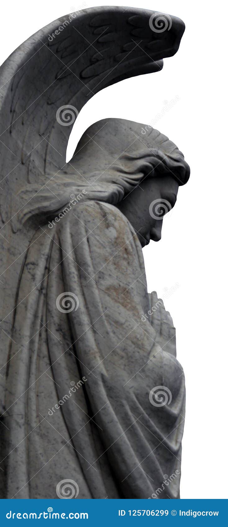 Profile Angel stock image. Image of heavenly, angel - 125706299