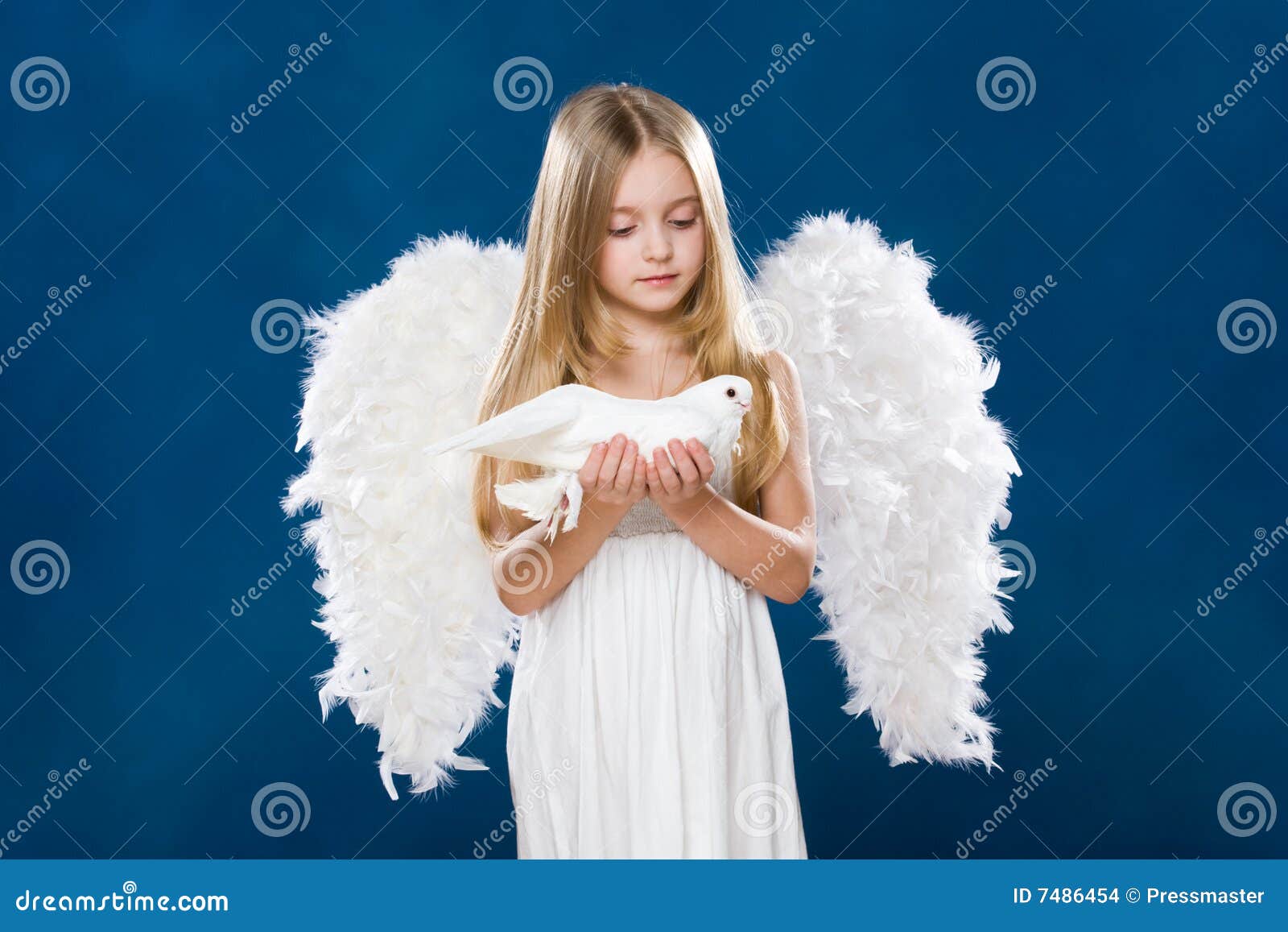 White Angels And Dove White Angel Doves (@white_angel_doves)