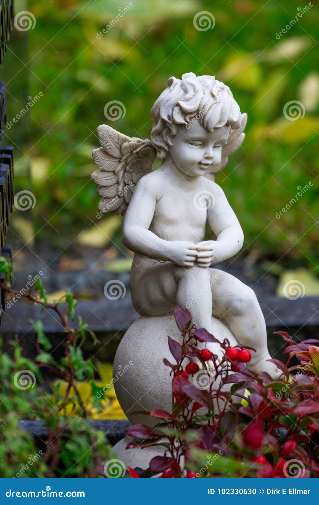 Angel stock photo. Image of contemplate, pick, glean - 102330630
