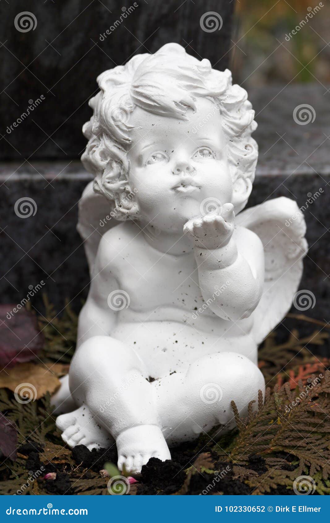 Angel stock photo. Image of praying, ponder, reflect - 102330652