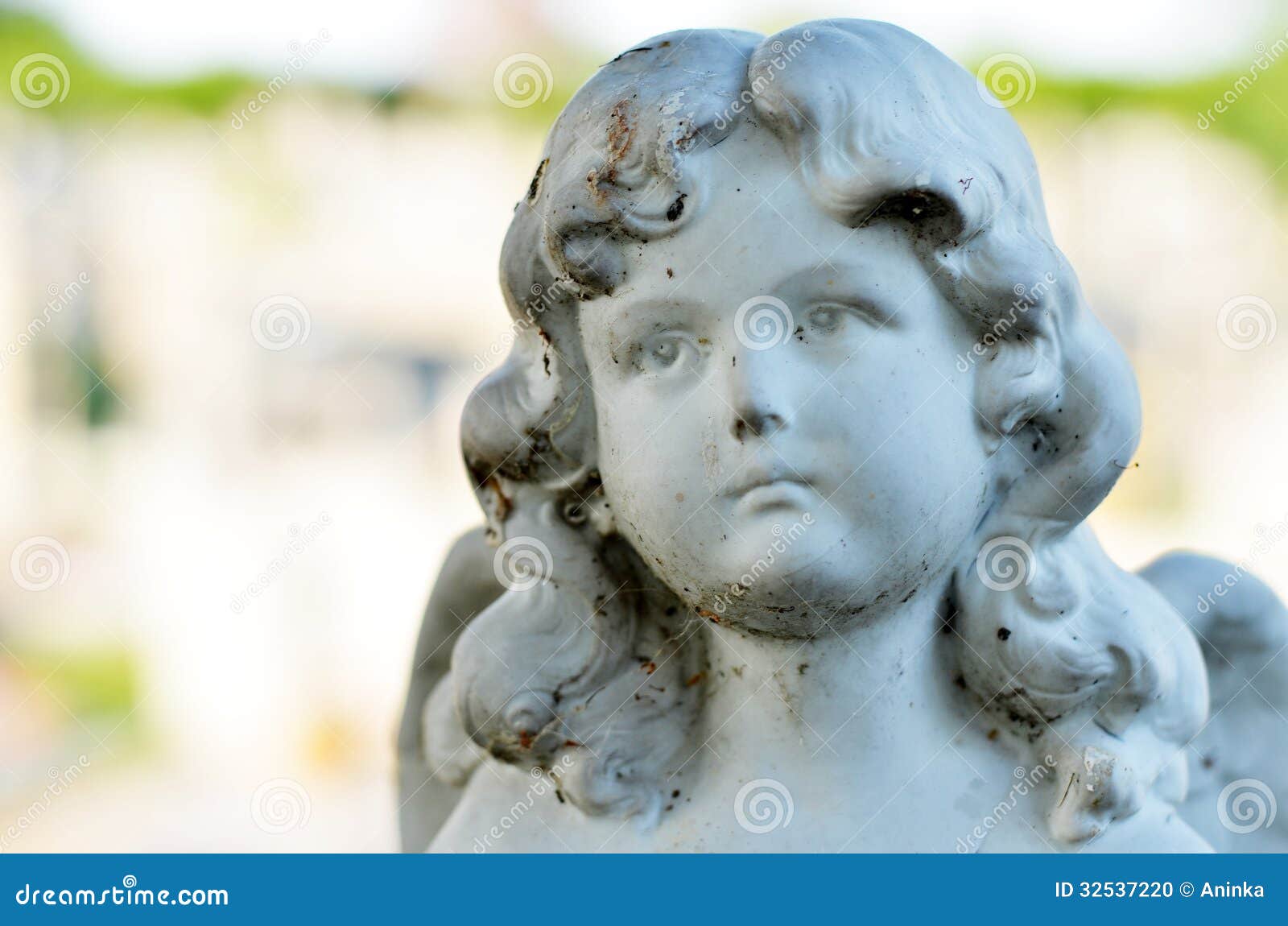 Angel Face's Instagram, Twitter & Facebook on IDCrawl