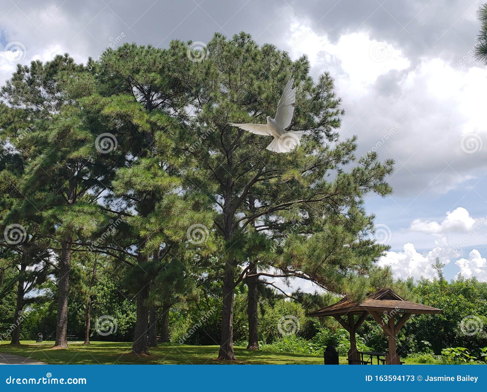 Angel in flight stock image. Image of wings, angel, flight - 163594173