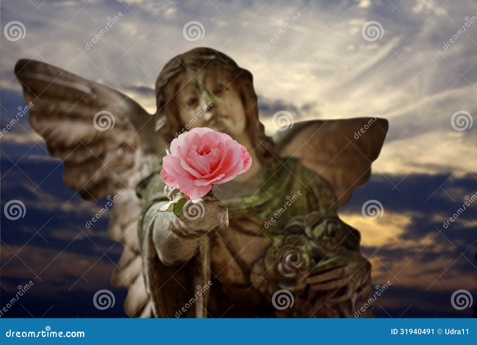 Angel With Rose Royalty-Free Stock Image | CartoonDealer.com #65868430