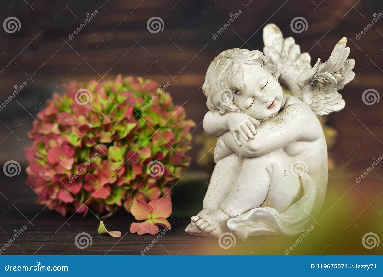 Angel and hydrangea flower stock photo. Image of hydrangea - 119675574