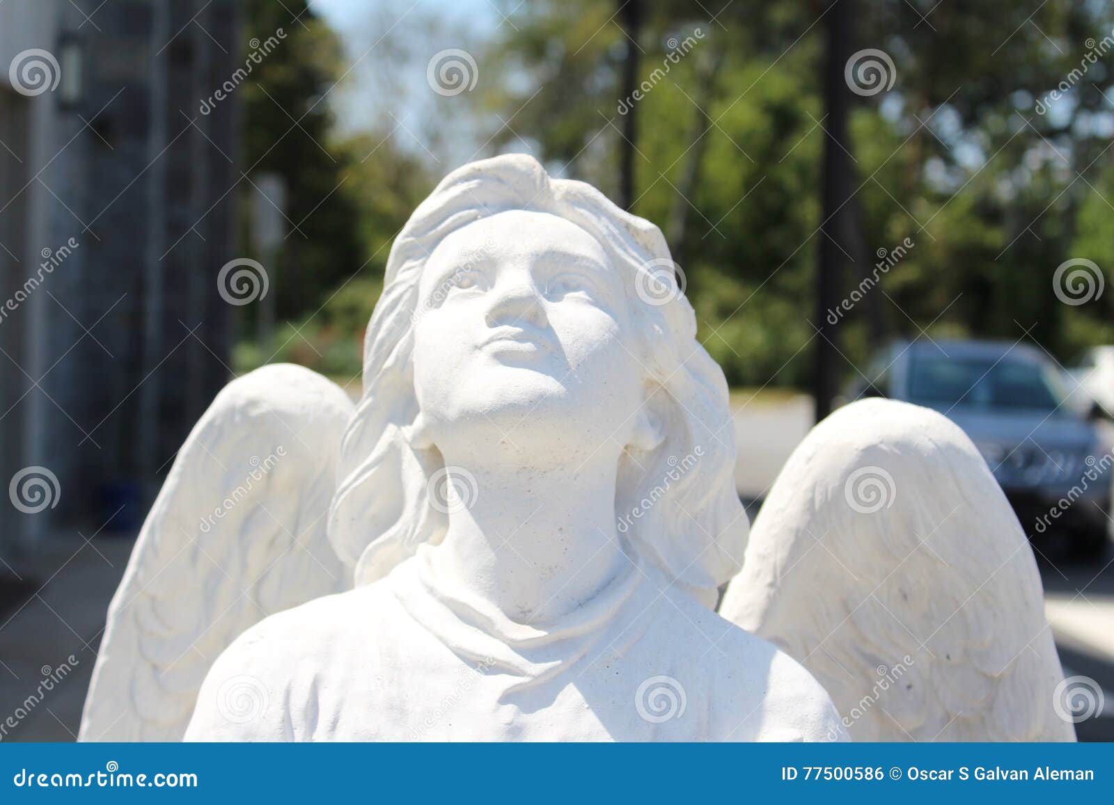 Angel Looking Up stock photo. Image of angel, holy, close - 77500586