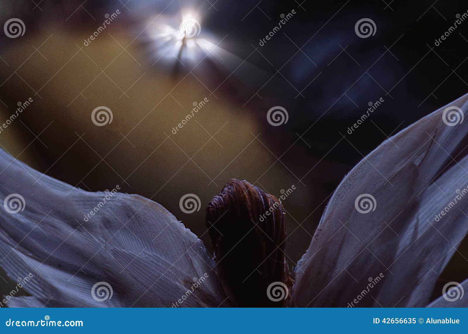 An Angel Looks at the Light 022 Stock Image - Image of angel, beams ...