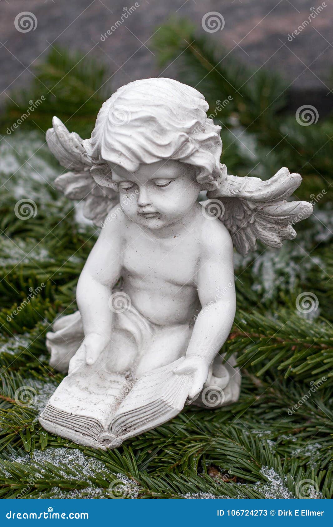 Angel reading a book stock image. Image of bird, trust - 106724273