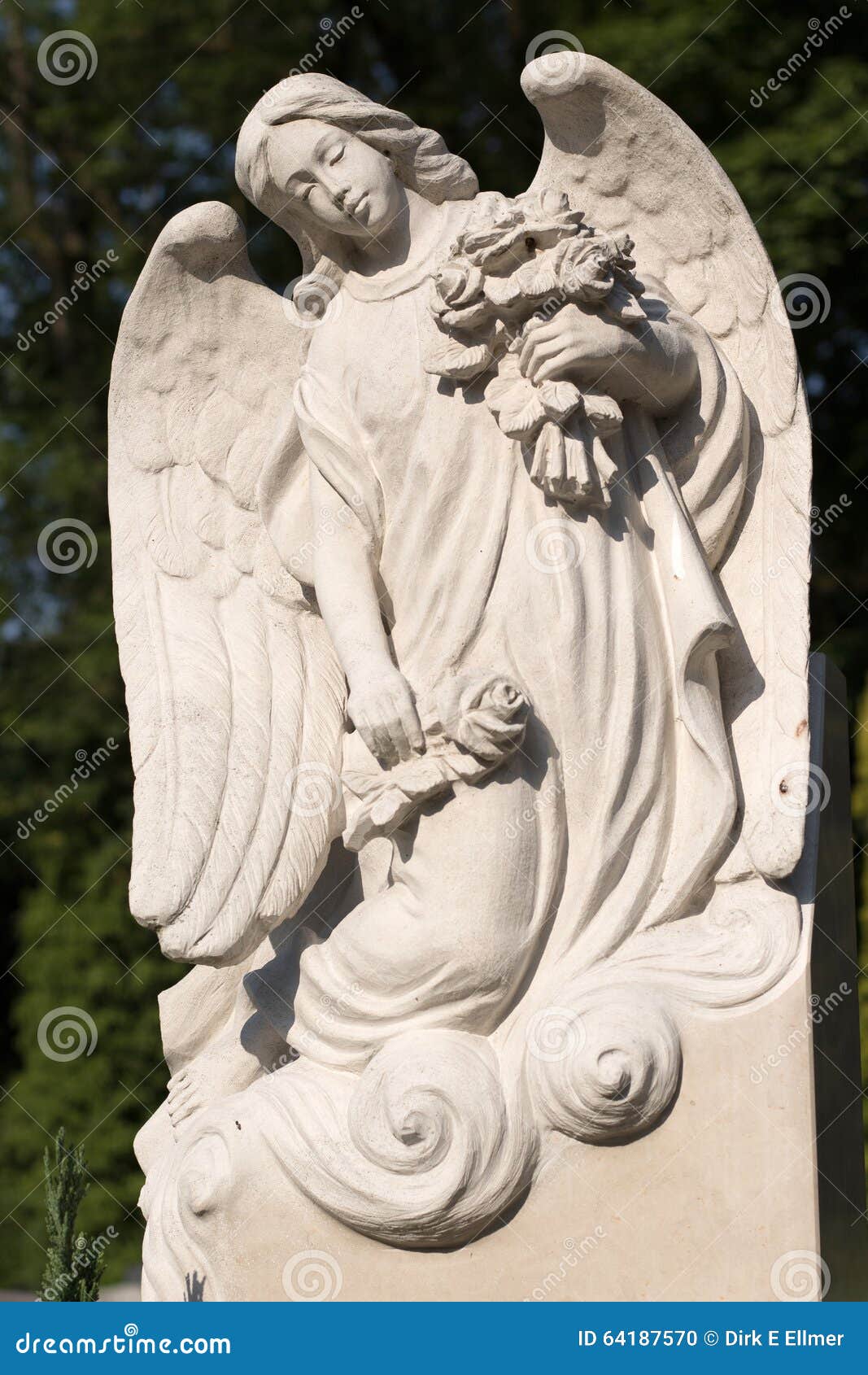 Angel with roses stock photo. Image of angel, feel, innocence - 64187570