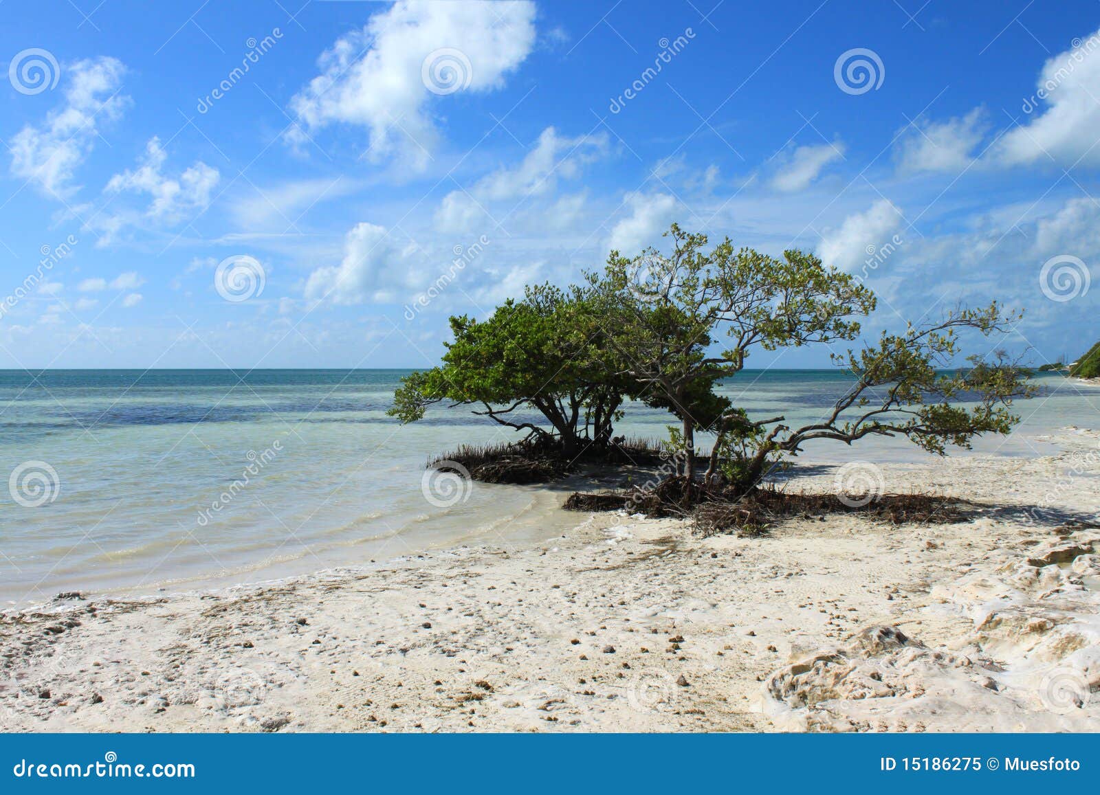 Angel s Beach stock image. Image of nature, seascape - 15186275