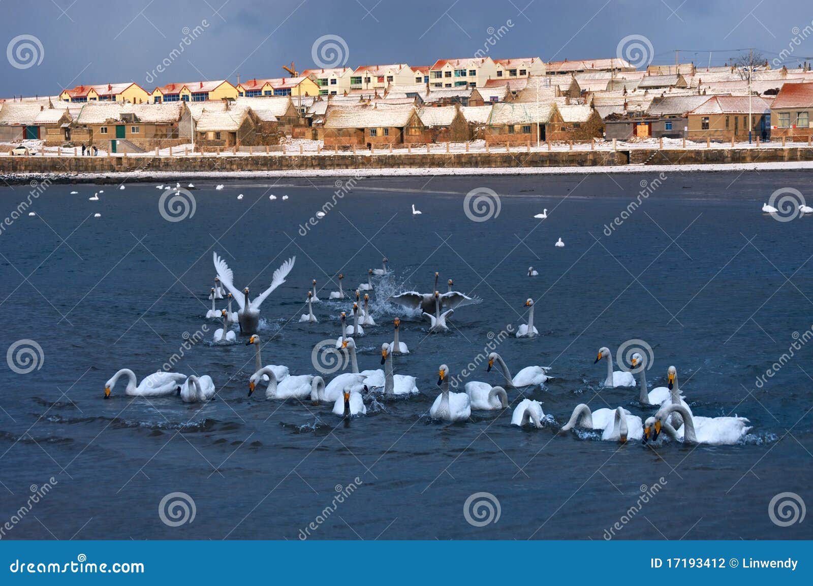 Angel s Home stock photo. Image of roof, beautiful, rare - 17193412