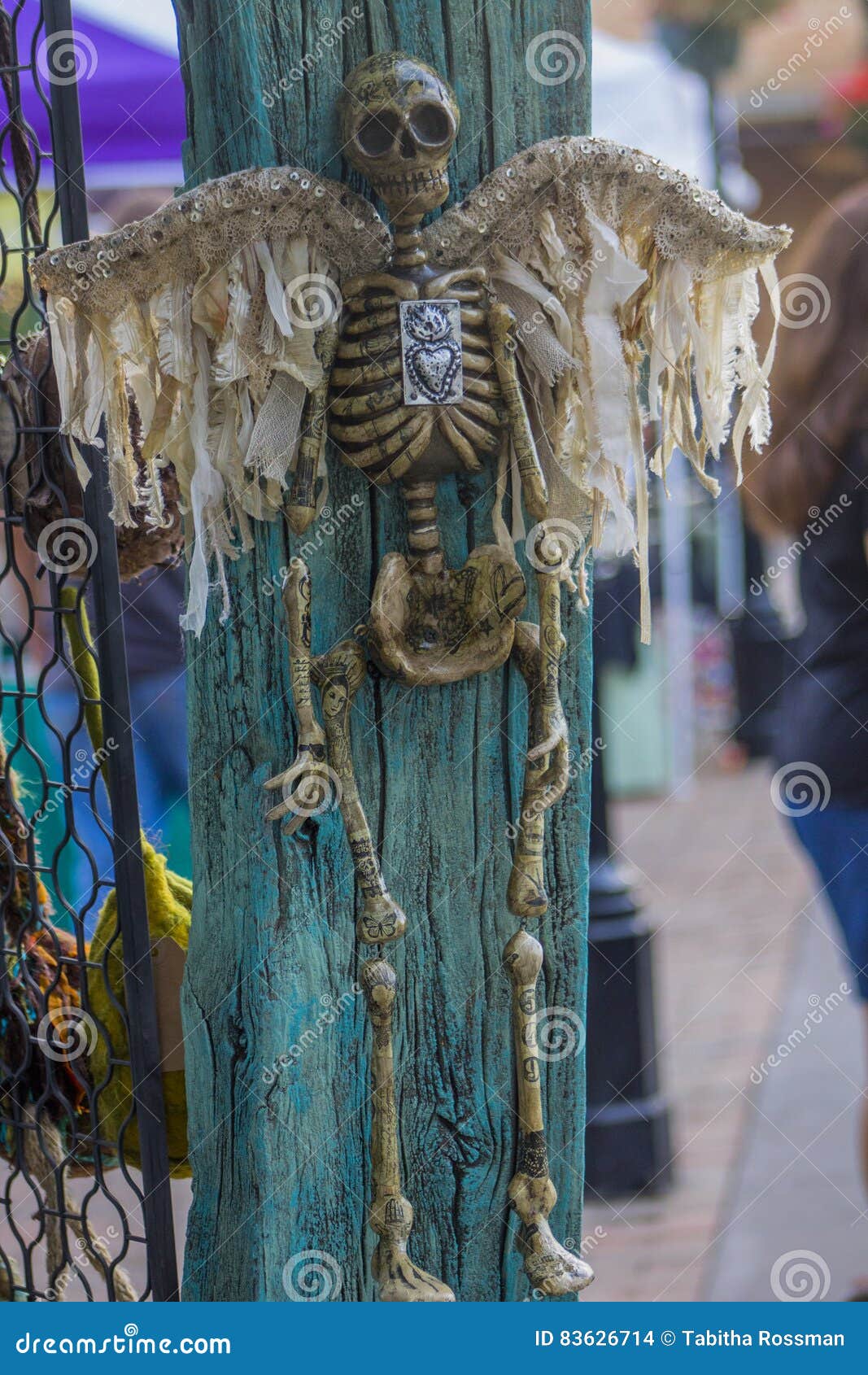Angel Skeleton stock photo. Image of angel, hanging, outdoor - 83626714